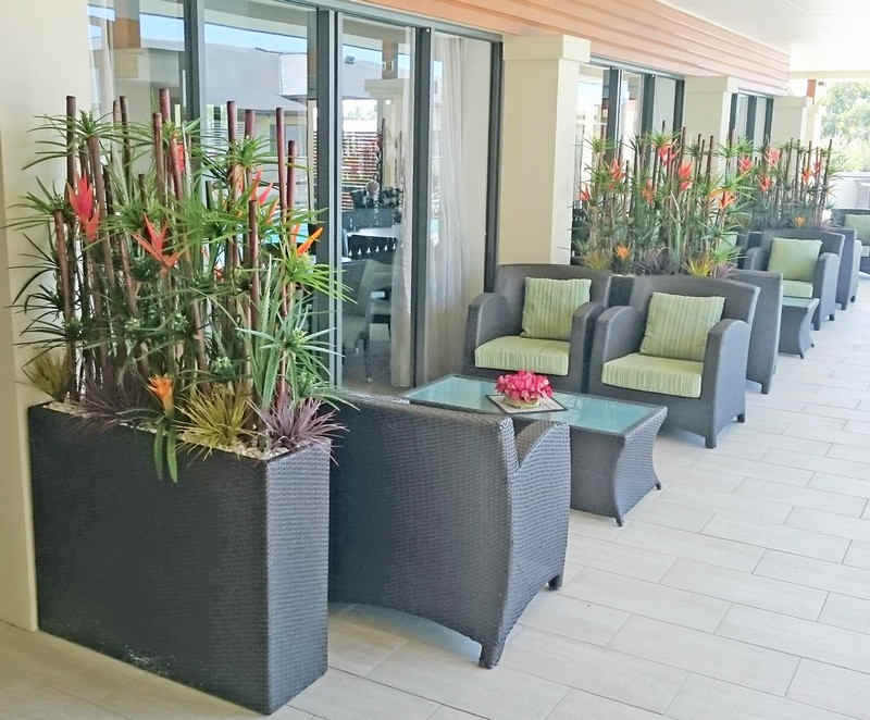 Artificial plants for Aged Care- Settings | Interior Gardens