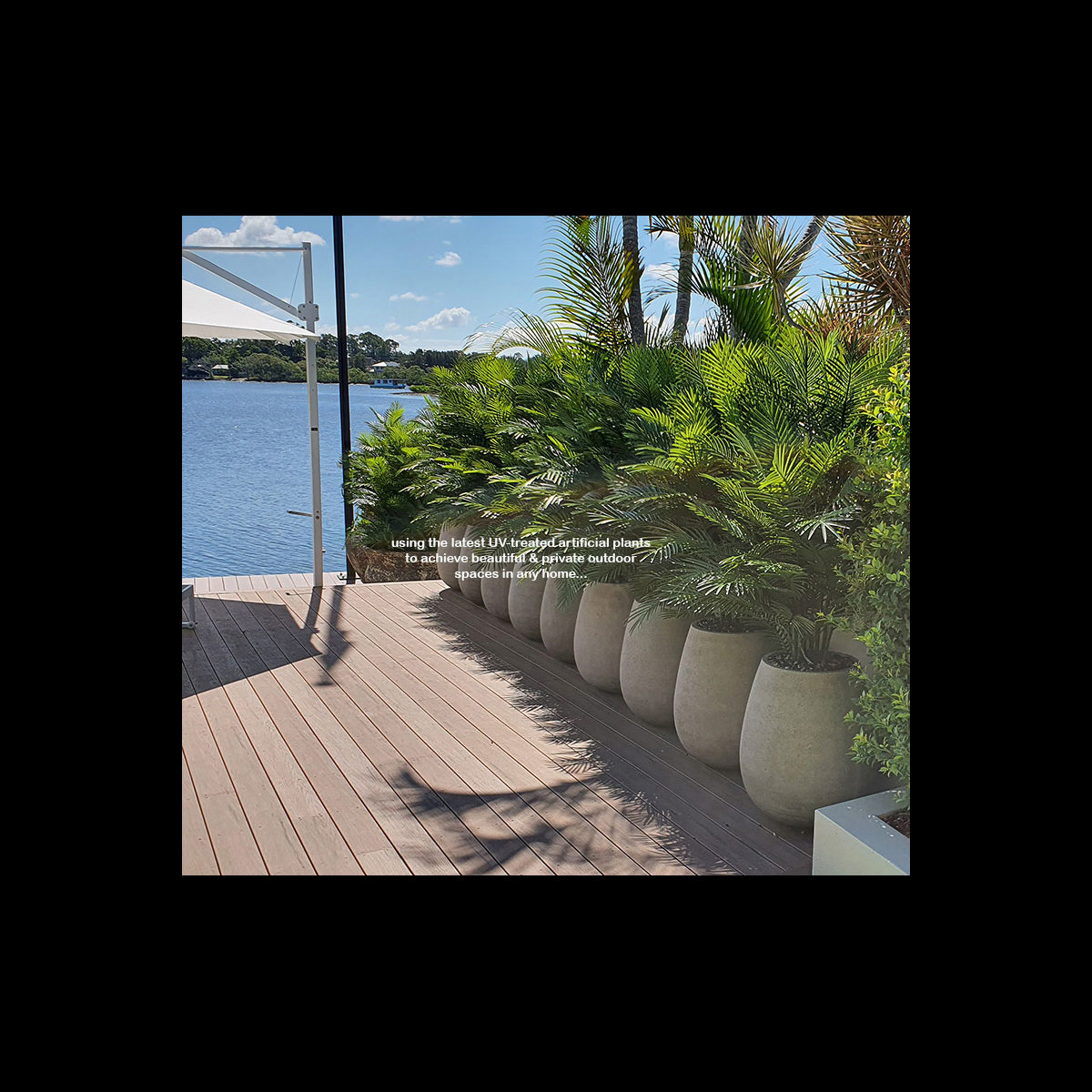 pool deck artificial plants