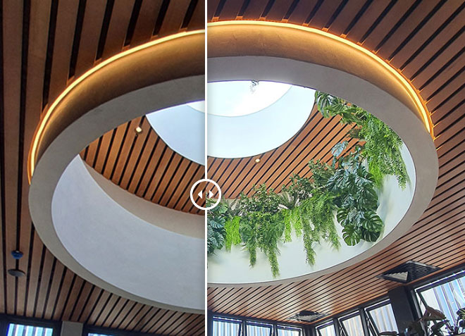 Before & After Section with high Planters | Interior Gardens