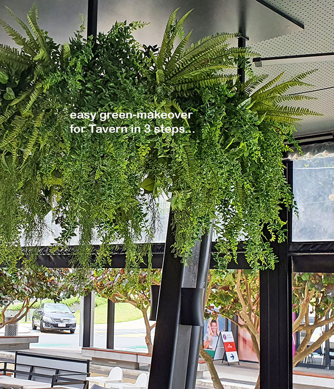 Adding Greenery to Tavern in 3 easy steps | Interior Gardens