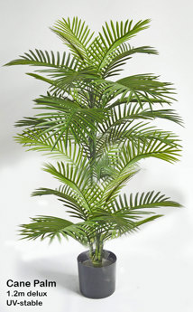 Artificial Palm Trees | Australia Interior Gardens