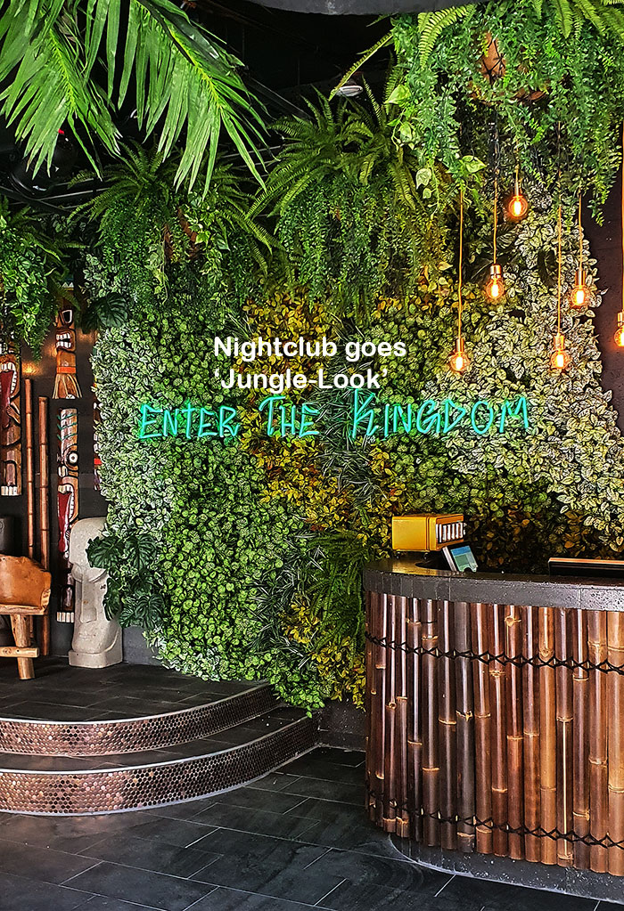 Nightclub Goes "Jungle-Look" | Artificial Plants, and Trees